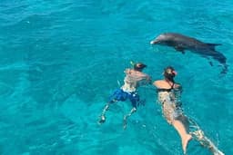 Ilhas Turcas e Caicos | Guia de Viagem | Melhor Época
